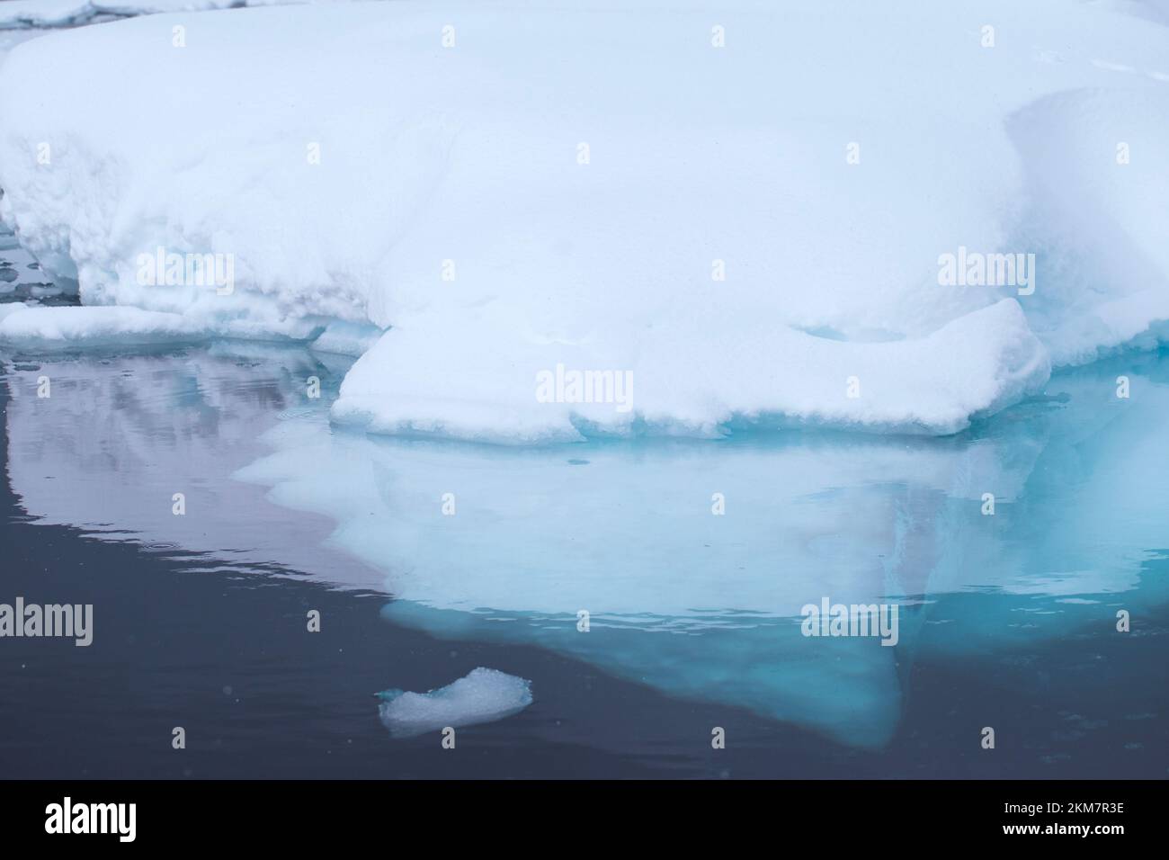 Icebergs floating in the still water around Enterprise Island. You can ...