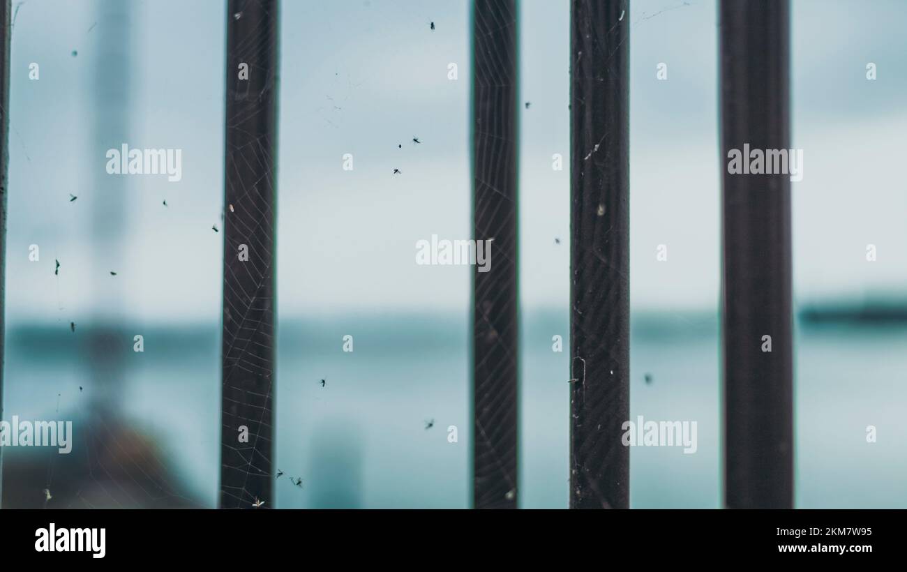 vertical lines in shallow depth of field Stock Photo - Alamy