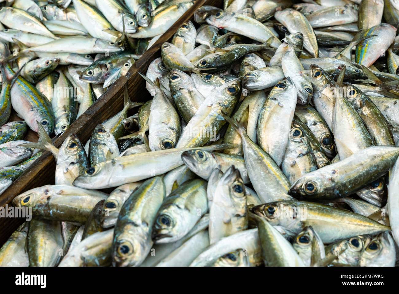 Traditional fish market in Mutrah, Oman. Several types of fish for sale ...