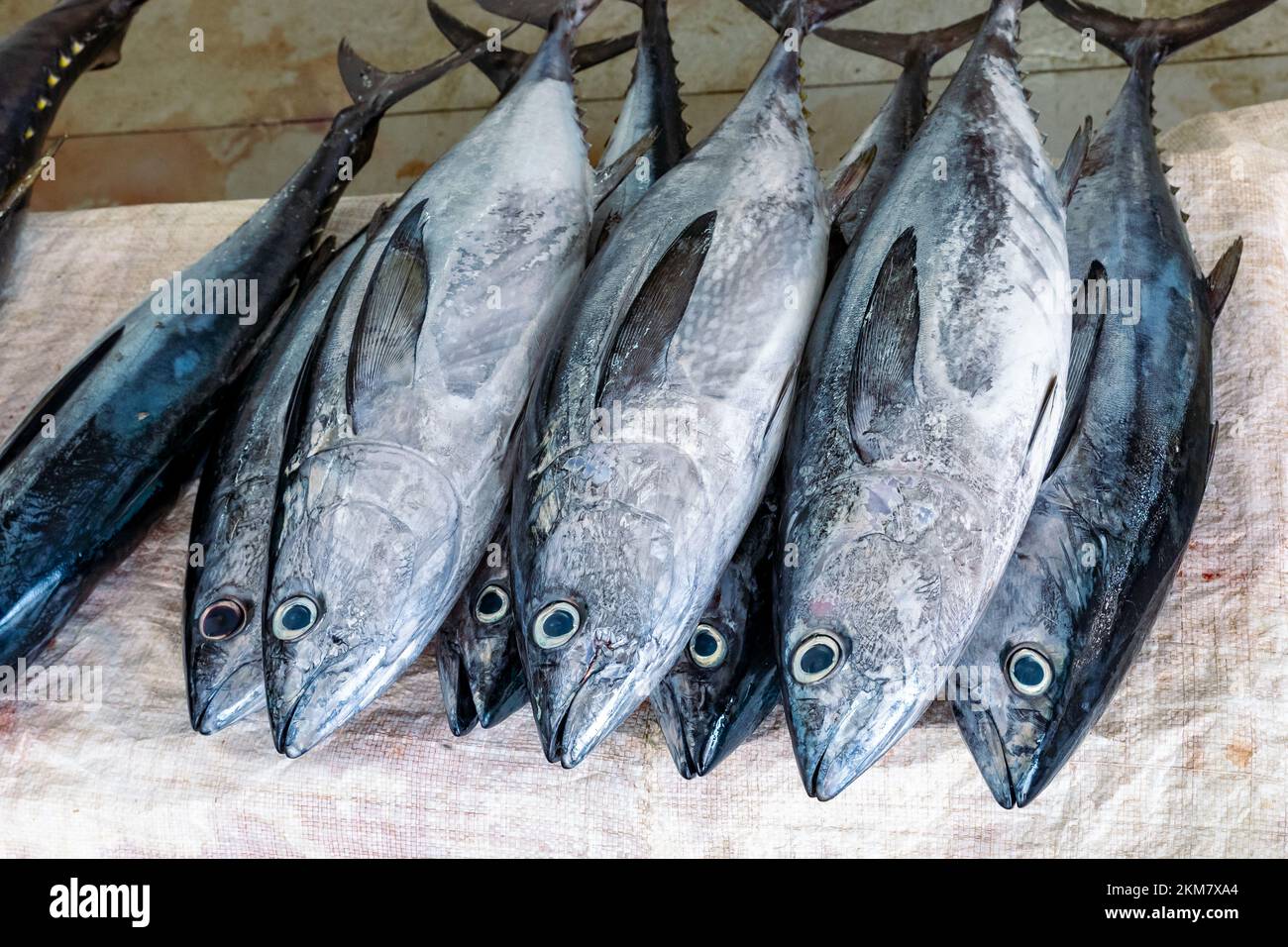 Traditional fish market in Mutrah, Oman. Several types of fish for sale ...