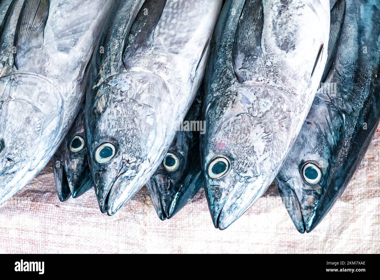 Traditional fish market in Mutrah, Oman. Several types of fish for sale ...