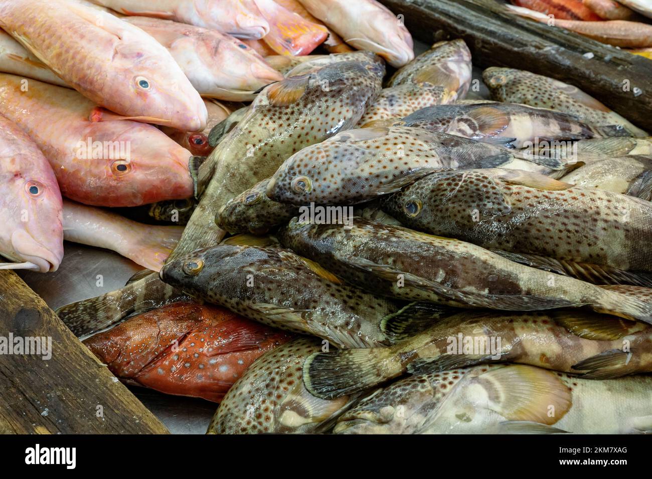 Traditional fish market in Mutrah, Oman. Several types of fish for sale ...