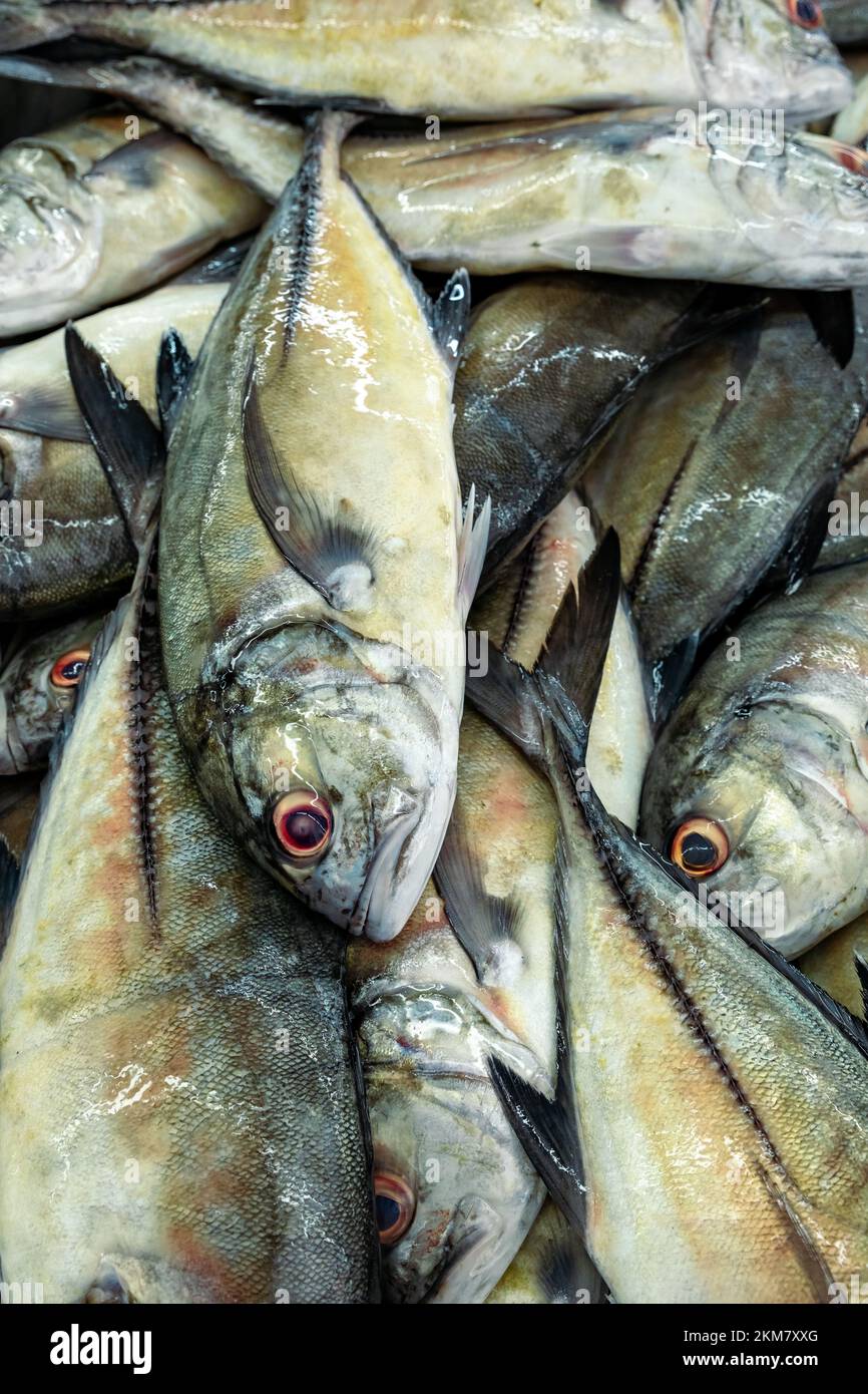 Traditional fish market in Mutrah, Oman. Several types of fish for sale ...