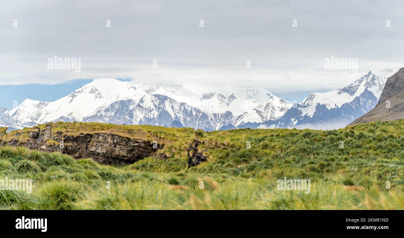 South Georgia Landscape Idyll in Jason Harbour Lagoon Point Stock Photo ...