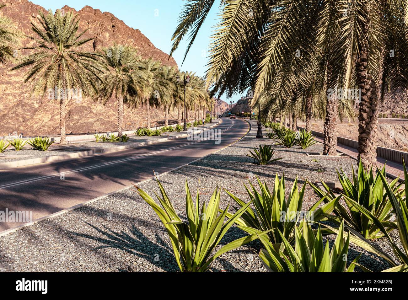 Road with palm trees. Traditional Omani architecture. Old Town of ...