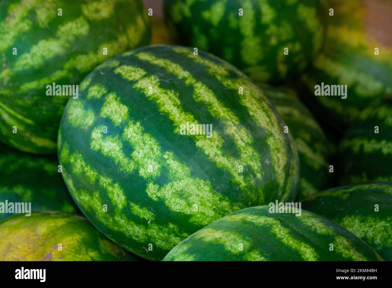 The ripe green watermelon pile Stock Photo - Alamy