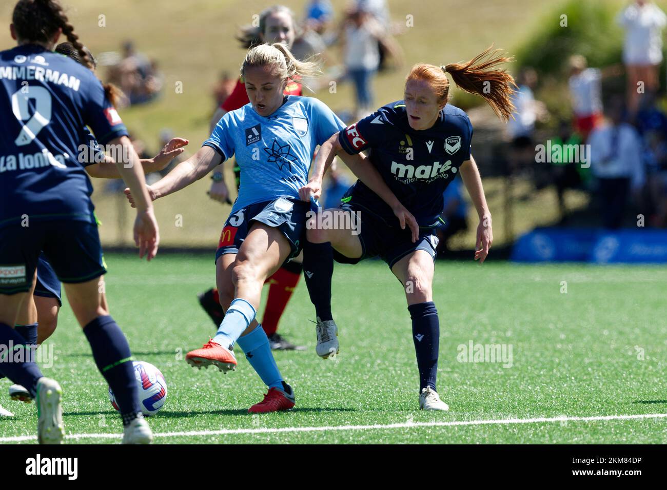 Beattie goad hi-res stock photography and images - Alamy