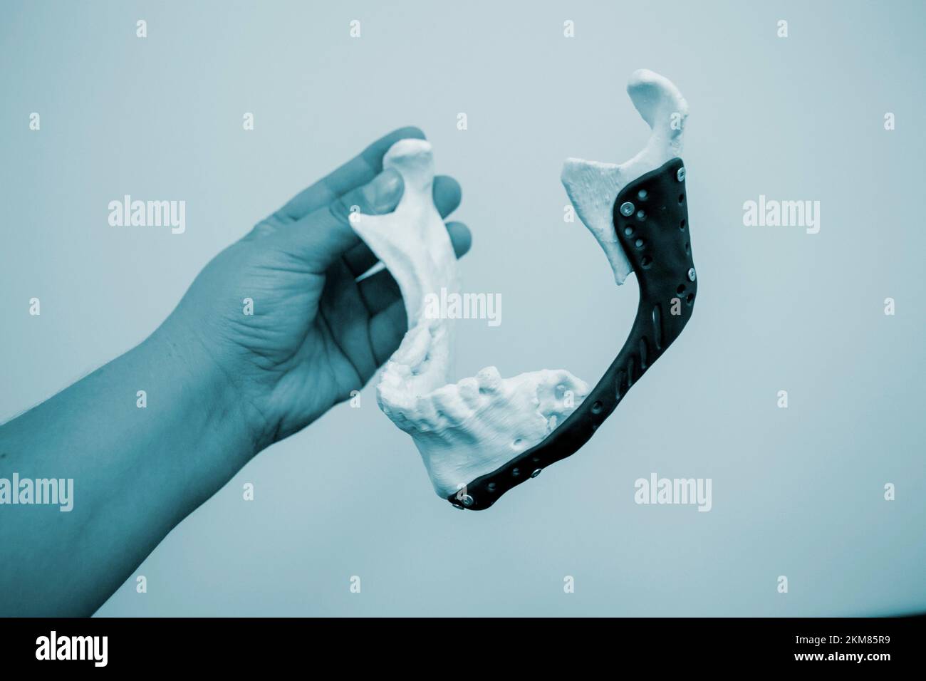 Person holding in hand 3D printed plastic prototype human lower jaw and ...