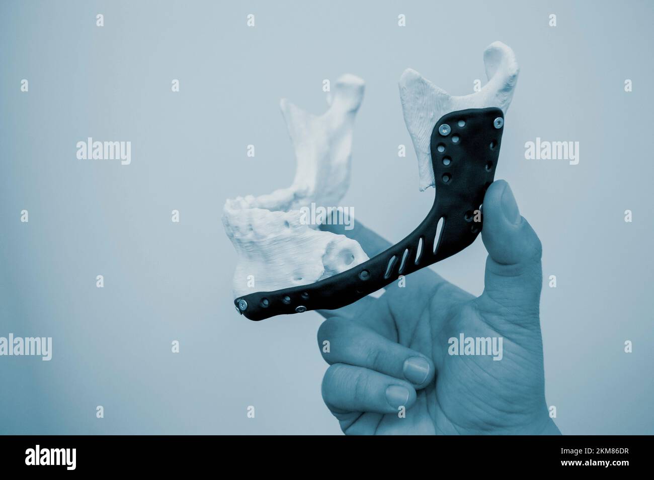 Person holding in hand 3D printed plastic prototype human lower jaw and ...