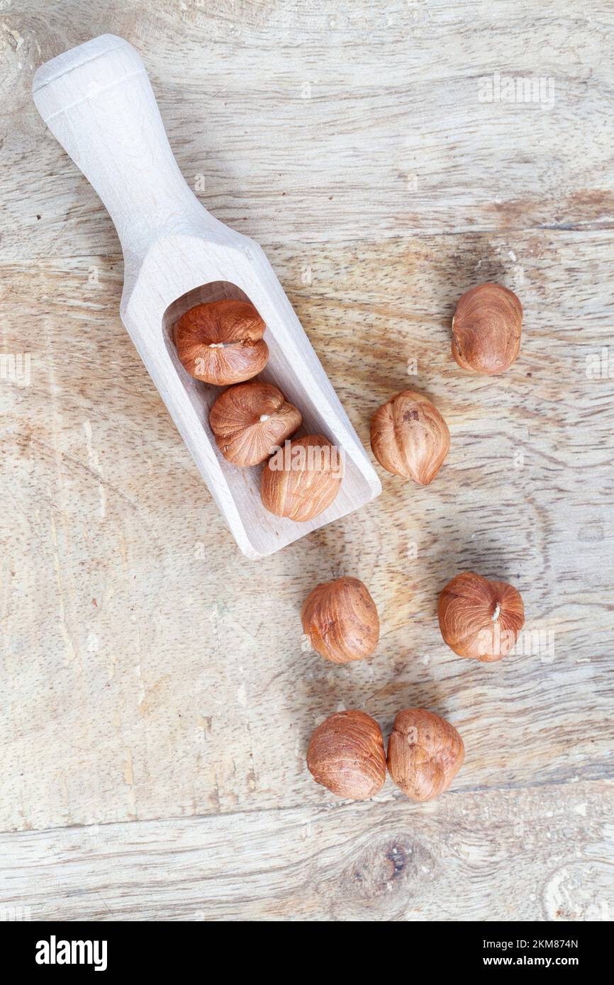 ripe, shelled hazelnuts, hazelnuts ready for use in food production ...