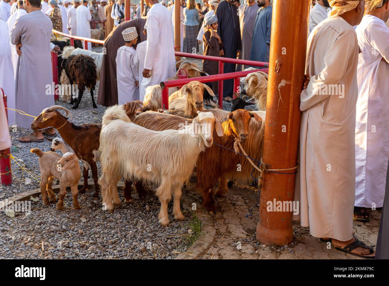 Nizwa Goat Market.Traditional fruits and vegetables bazaar in Nizwa ...