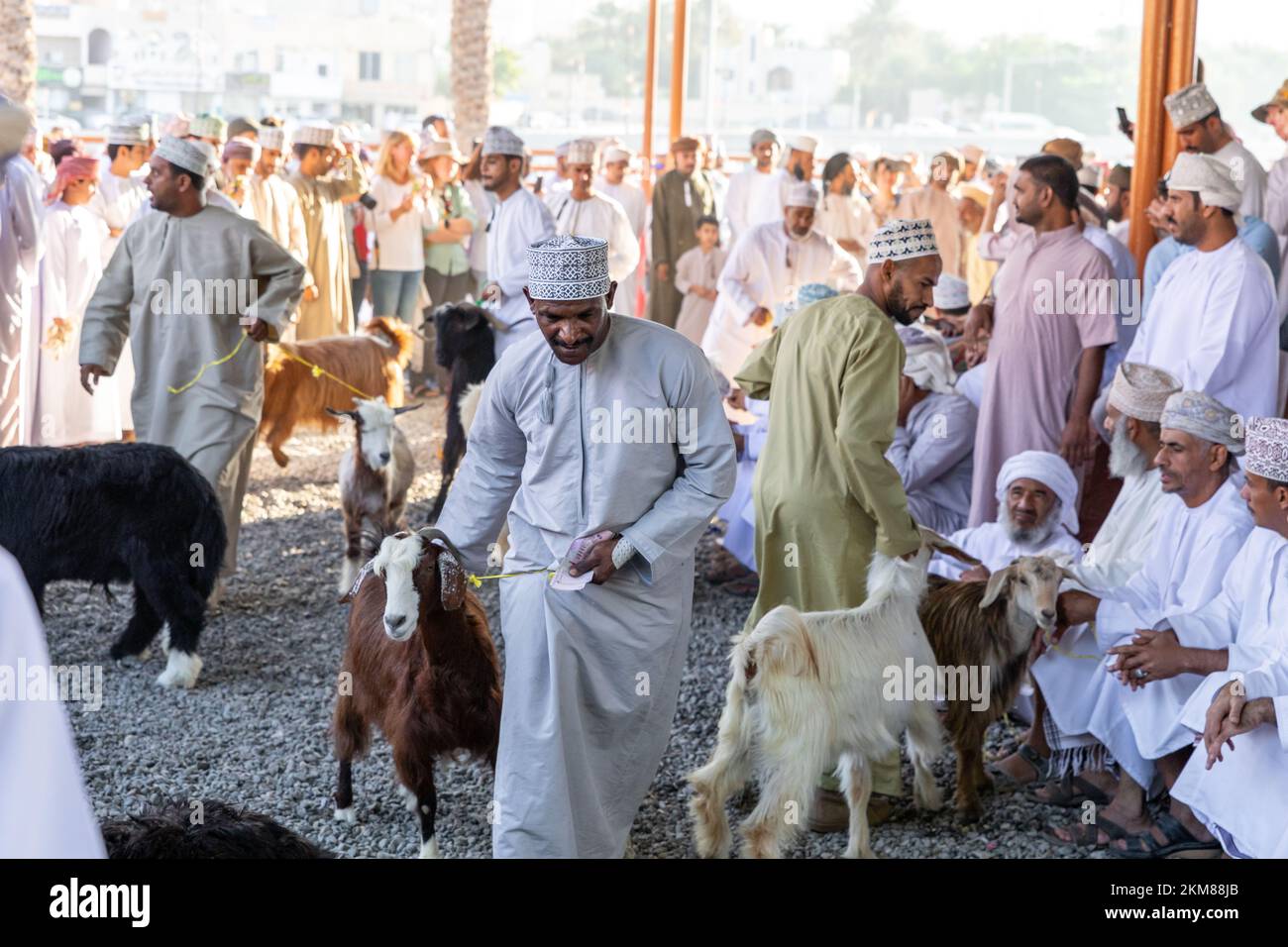 NIZWA, OMAN - NOVEMBER 18, 2022: Nizwa Goat Market. Traditional Animal ...