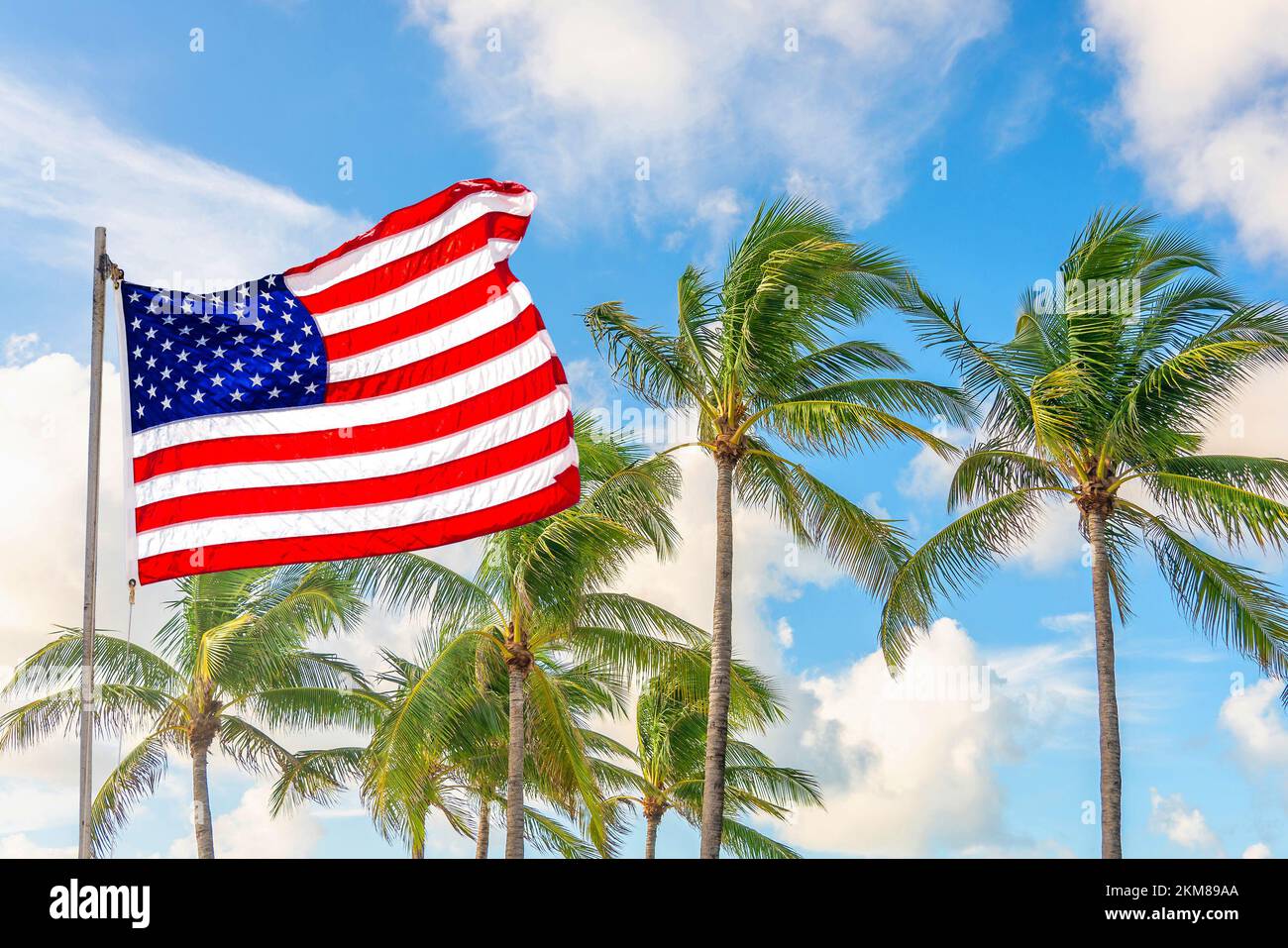 American flag waving against palm trees on blue sky background Stock ...