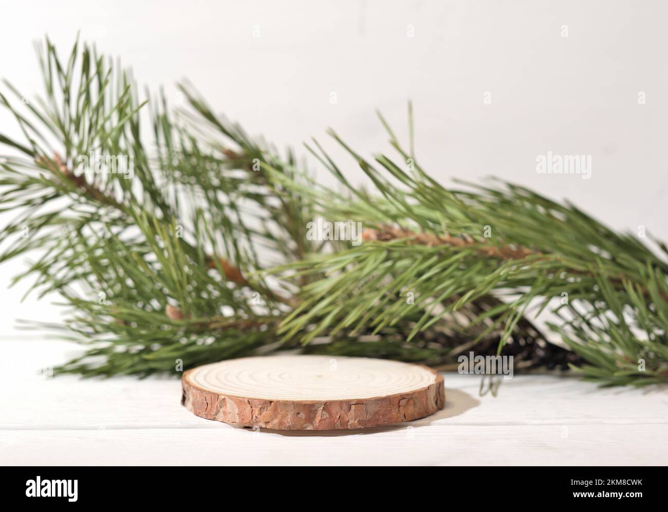 wooden natural podium with pine tree branch decor, minimal modern ...