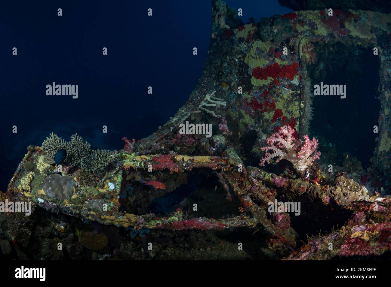 Corals growing on World war 2 wrecks in the coral triangle Stock Photo ...
