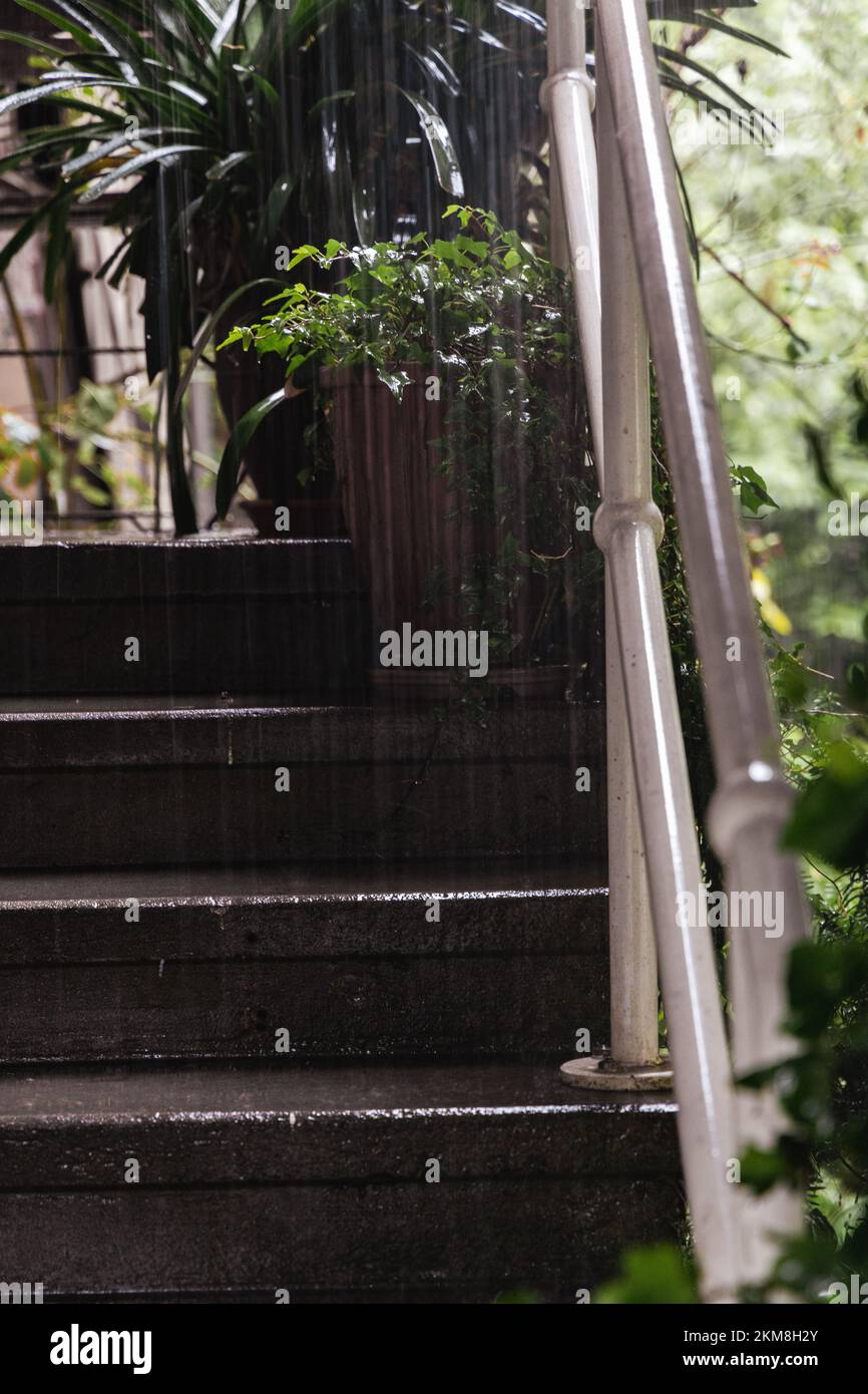 A vertical shot of the wet stairs on a rainy day Stock Photo - Alamy