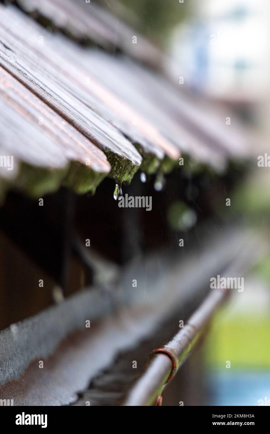 A closeup of the rain dripping into the drainpipe from the roof Stock ...