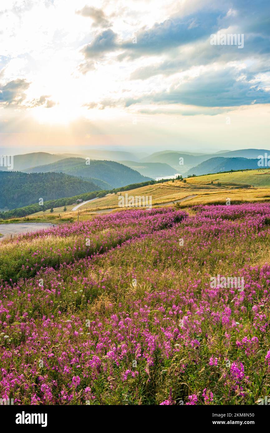 Vosges (Vogesen) Mountains: summit Hohneck, view to West to lake Lac de ...