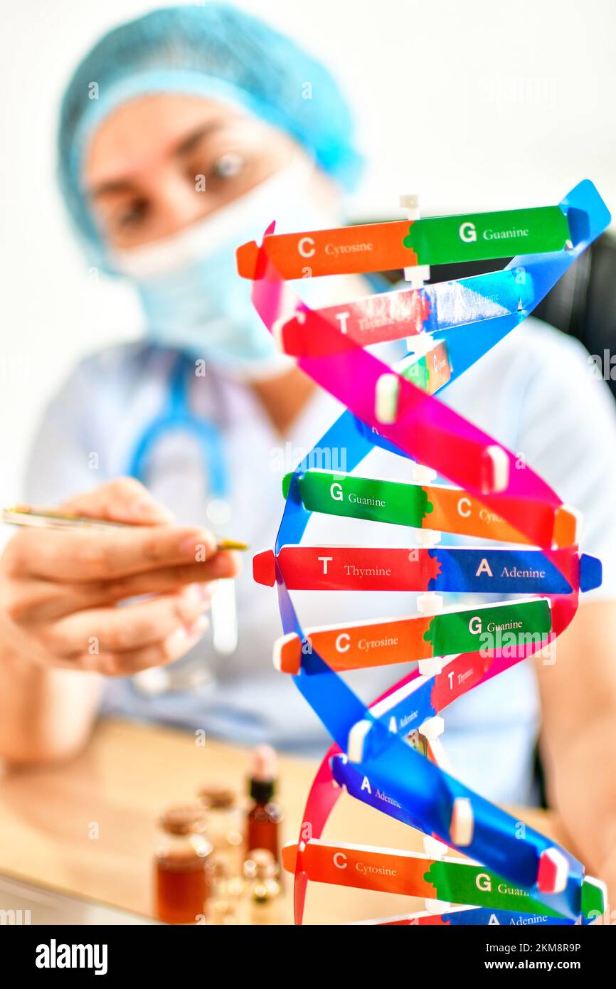 A vertical shot of a medical tutor holding model of double Helix during ...