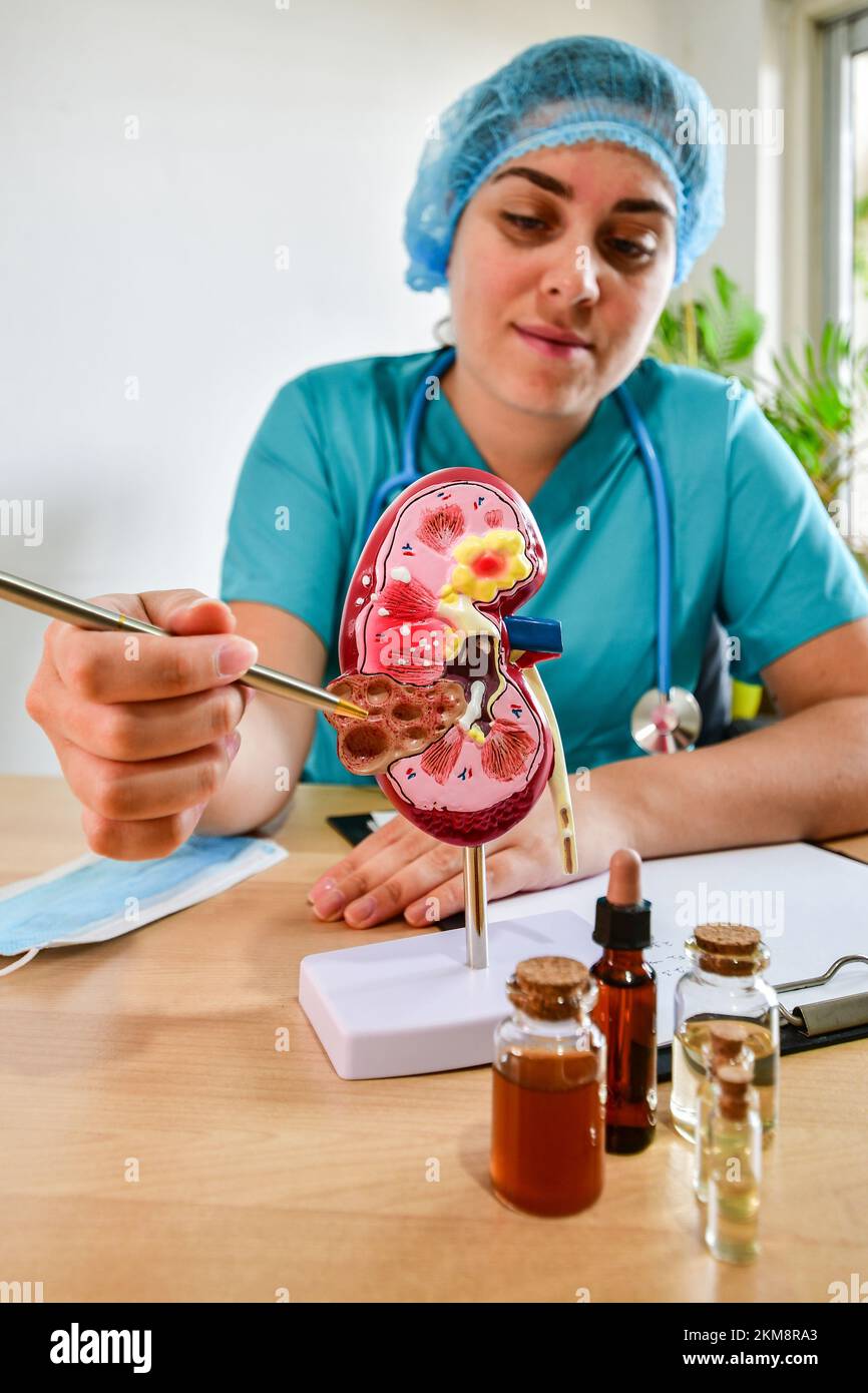 A closeup of a Doctor analyzing of patient kidney health using kidney ...