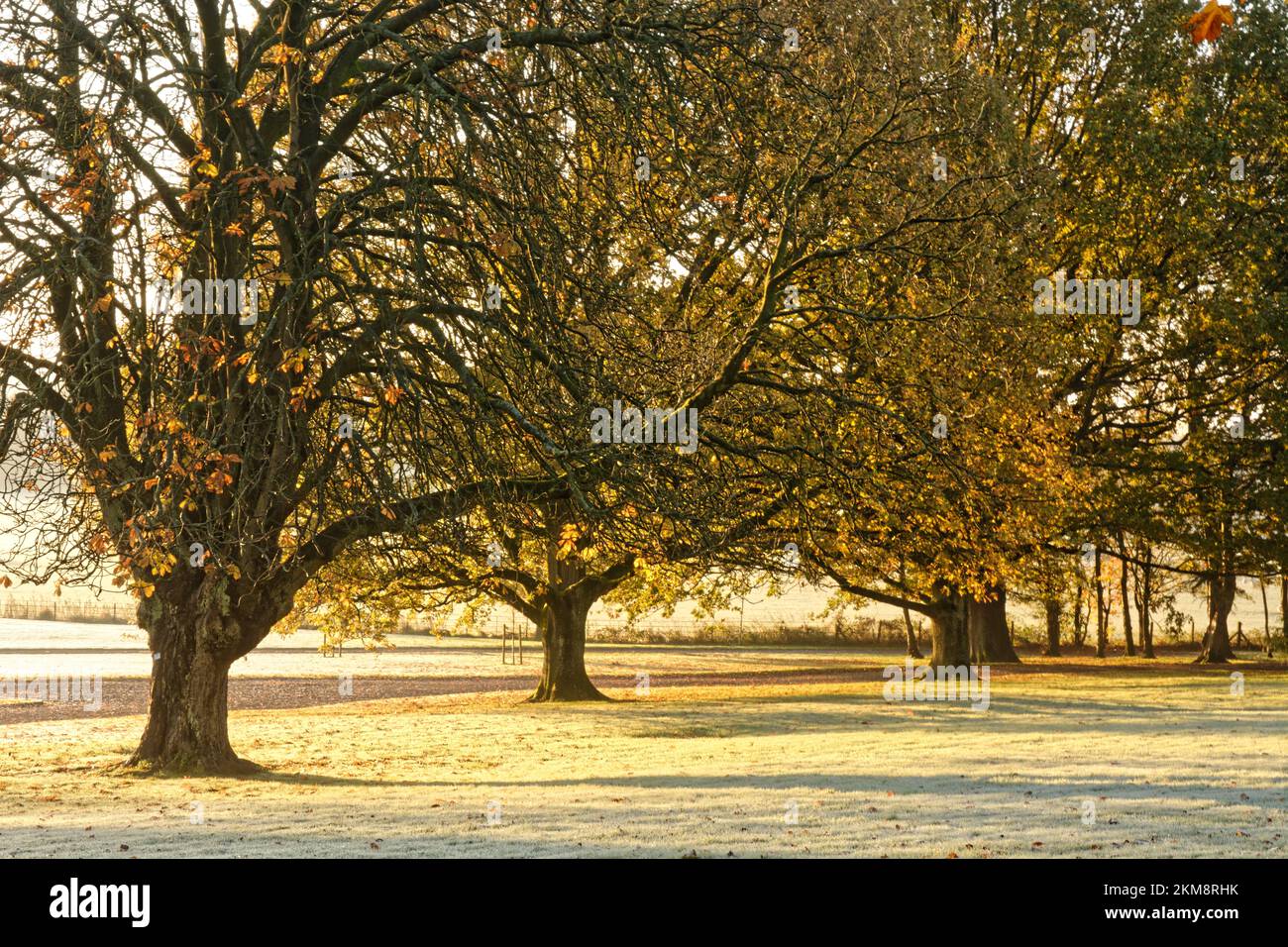 Keele university hall hi-res stock photography and images - Alamy