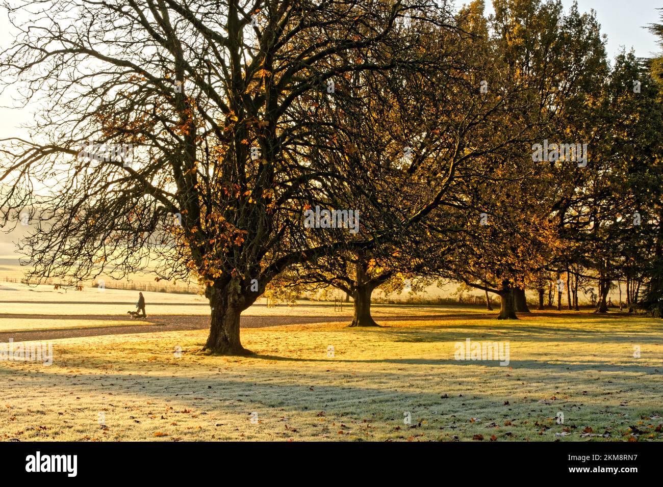 Keele grounds hi-res stock photography and images - Alamy