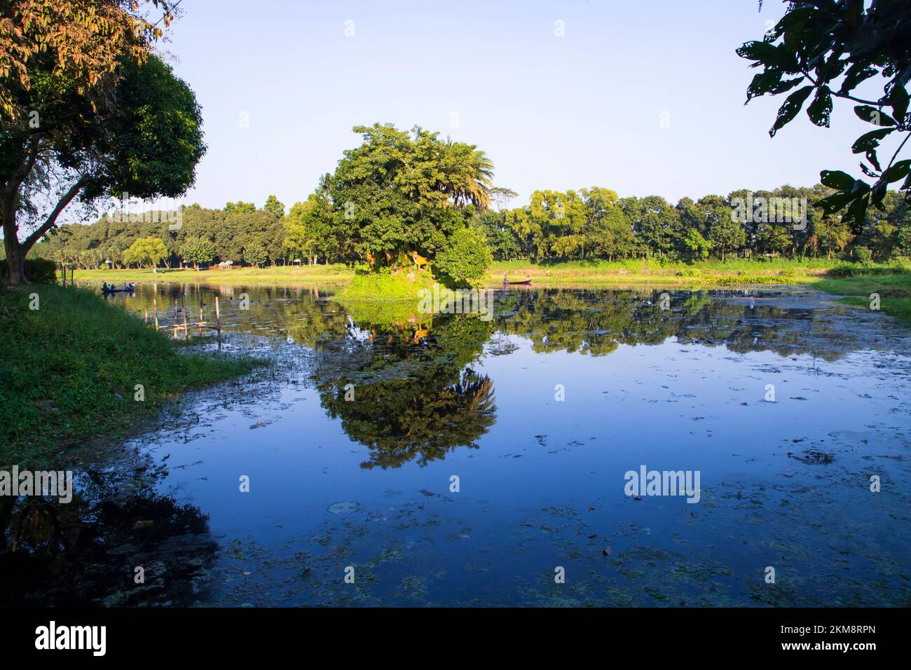 Natural landscape view Reflection of trees in the lake water against ...