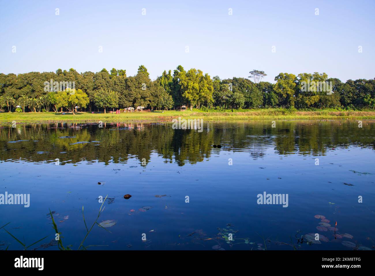 Natural landscape view Reflection of trees in the lake water against ...