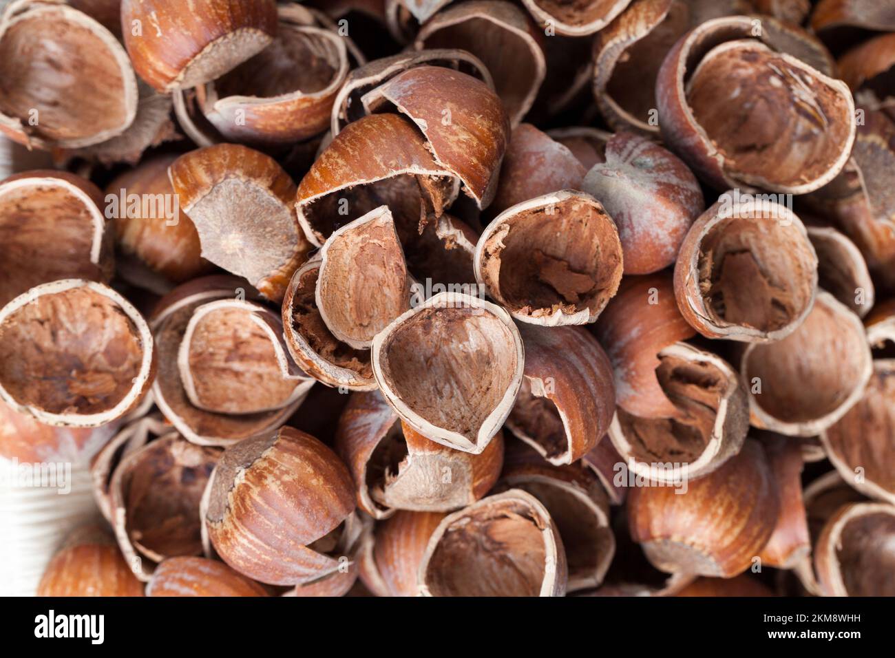 ripe hazelnuts ready for eating, hazelnuts peeled from the shell Stock ...