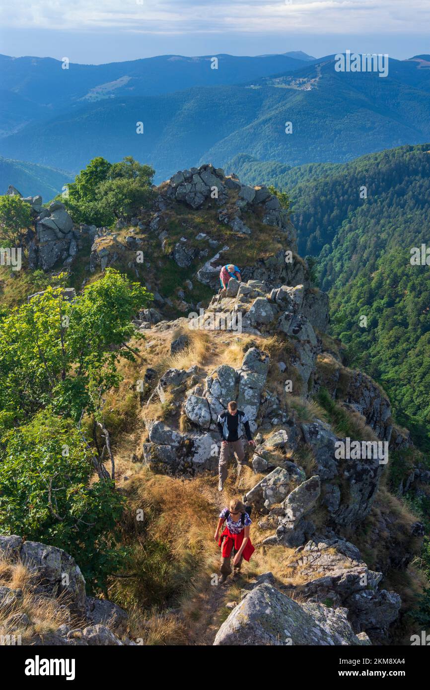 Hiker in alsace elsass hi-res stock photography and images - Alamy