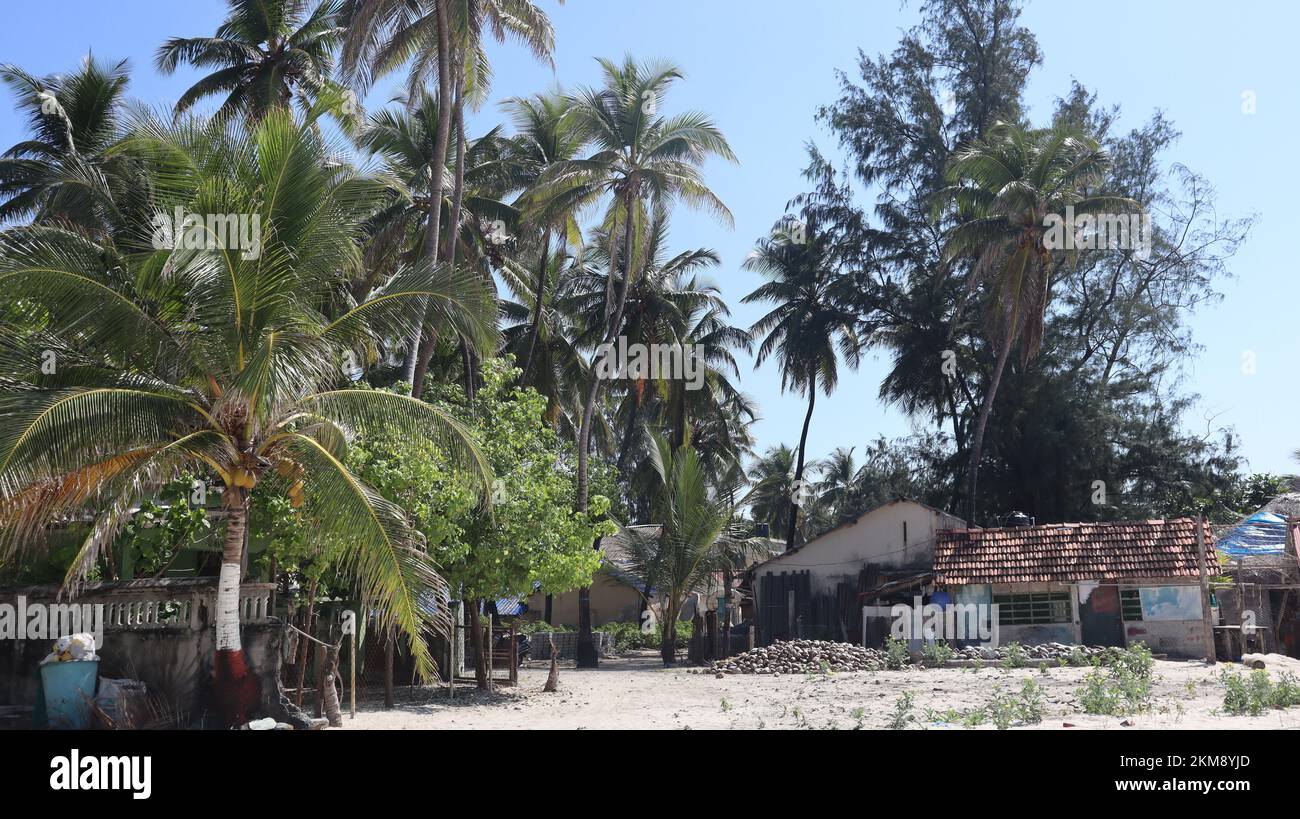 A tropical beach with trees and resorts on the sand Stock Photo - Alamy