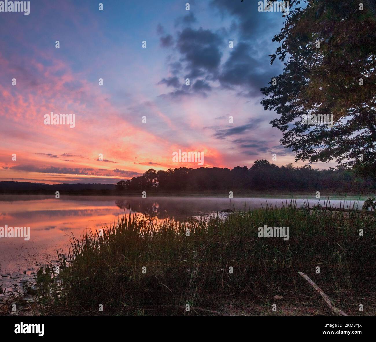 A beautiful pink sunrise over the trees reflected in the Yellow Creek ...