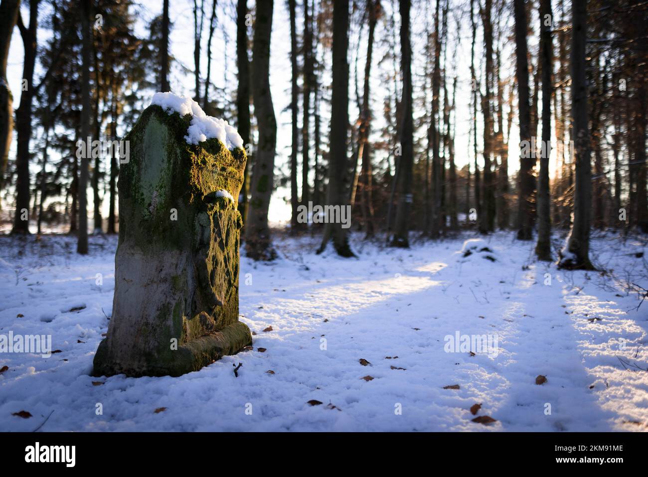 Ancient border stone in Germany (Fraischgrenze, Fraischgrenzstein ...