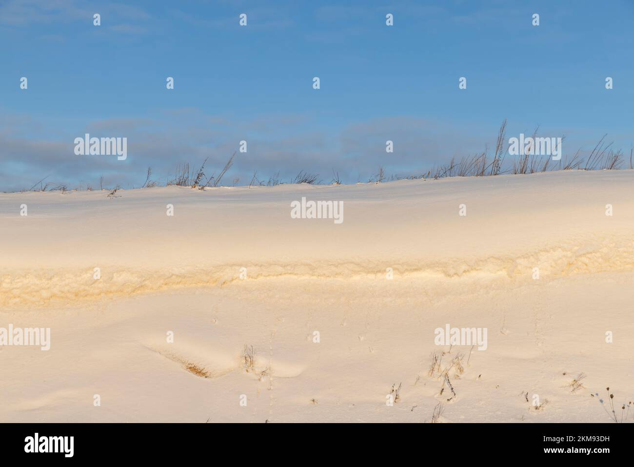 winter season with snowdrifts after snowfall, fresh and clean snow in ...