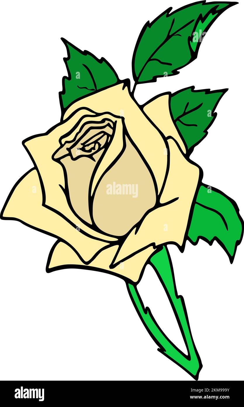 rose branch drawing with beige flower and leaves, isolated element ...