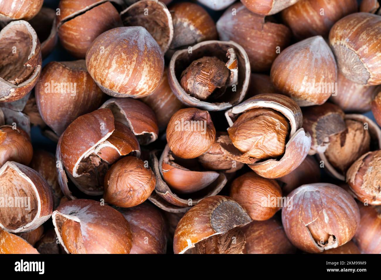 ripe hazelnuts ready for eating, hazelnuts peeled from the shell Stock ...