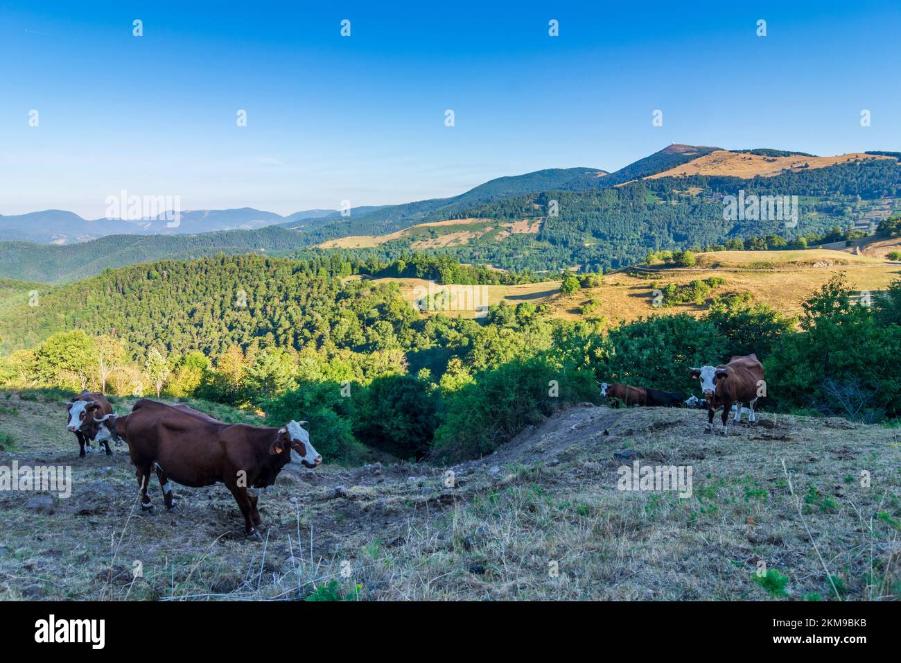 Vosges (Vogesen) Mountains: Vosges (Vogesen) Mountains, view to ...