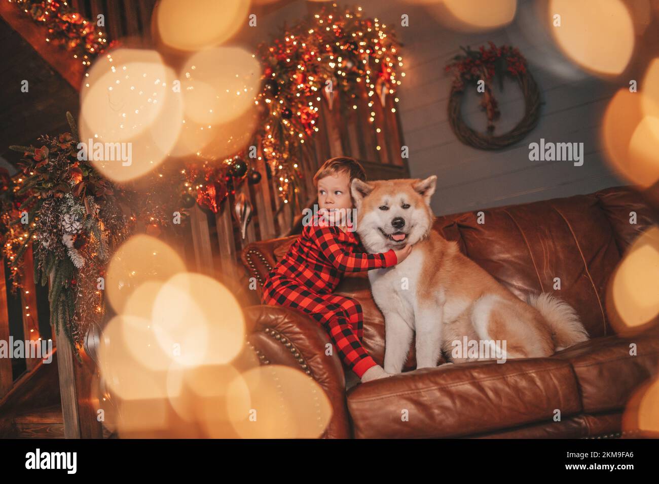 Smile small child having fun with dog waiting for miracle Santa at noel ...