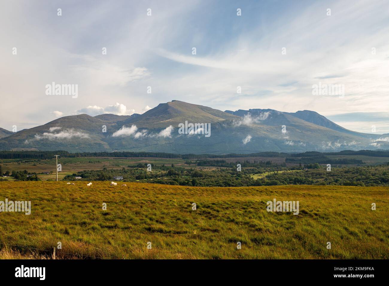 Mount nevis peak hi-res stock photography and images - Alamy