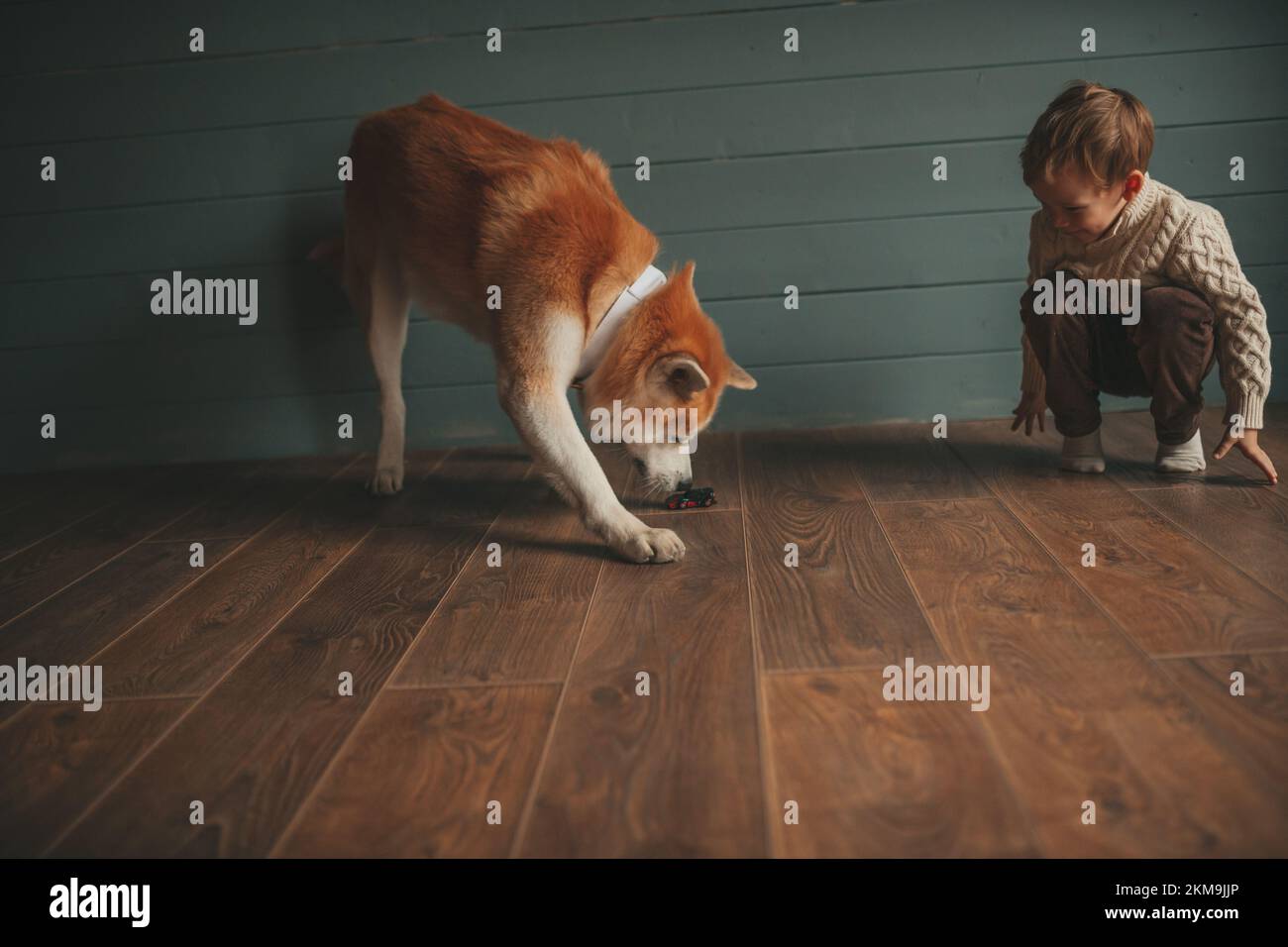Smiling small child having fun with dog waiting for miracle Santa at ...