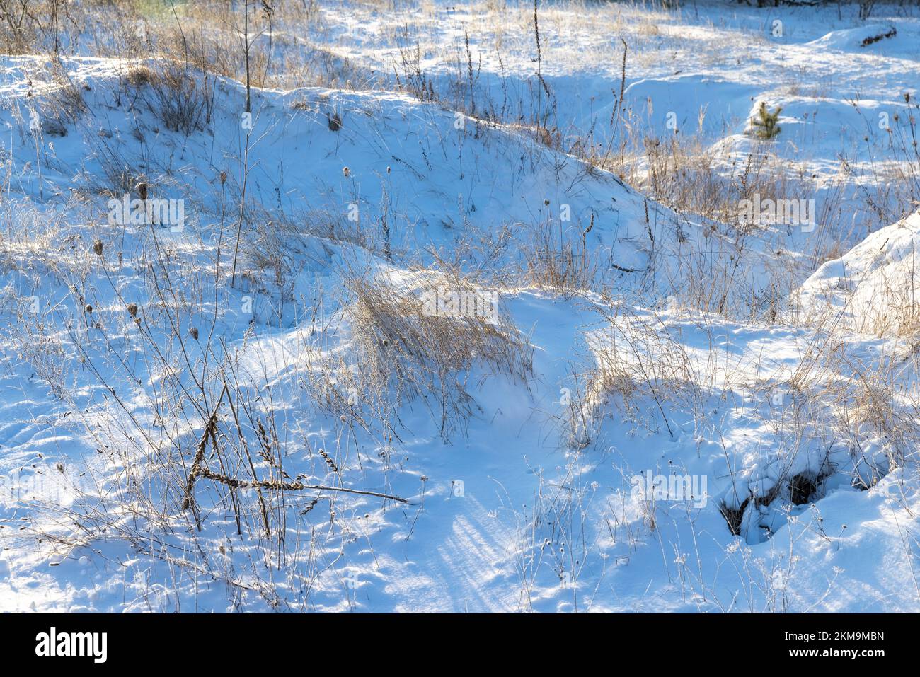 winter season with snowdrifts after snowfall, fresh and clean snow in ...