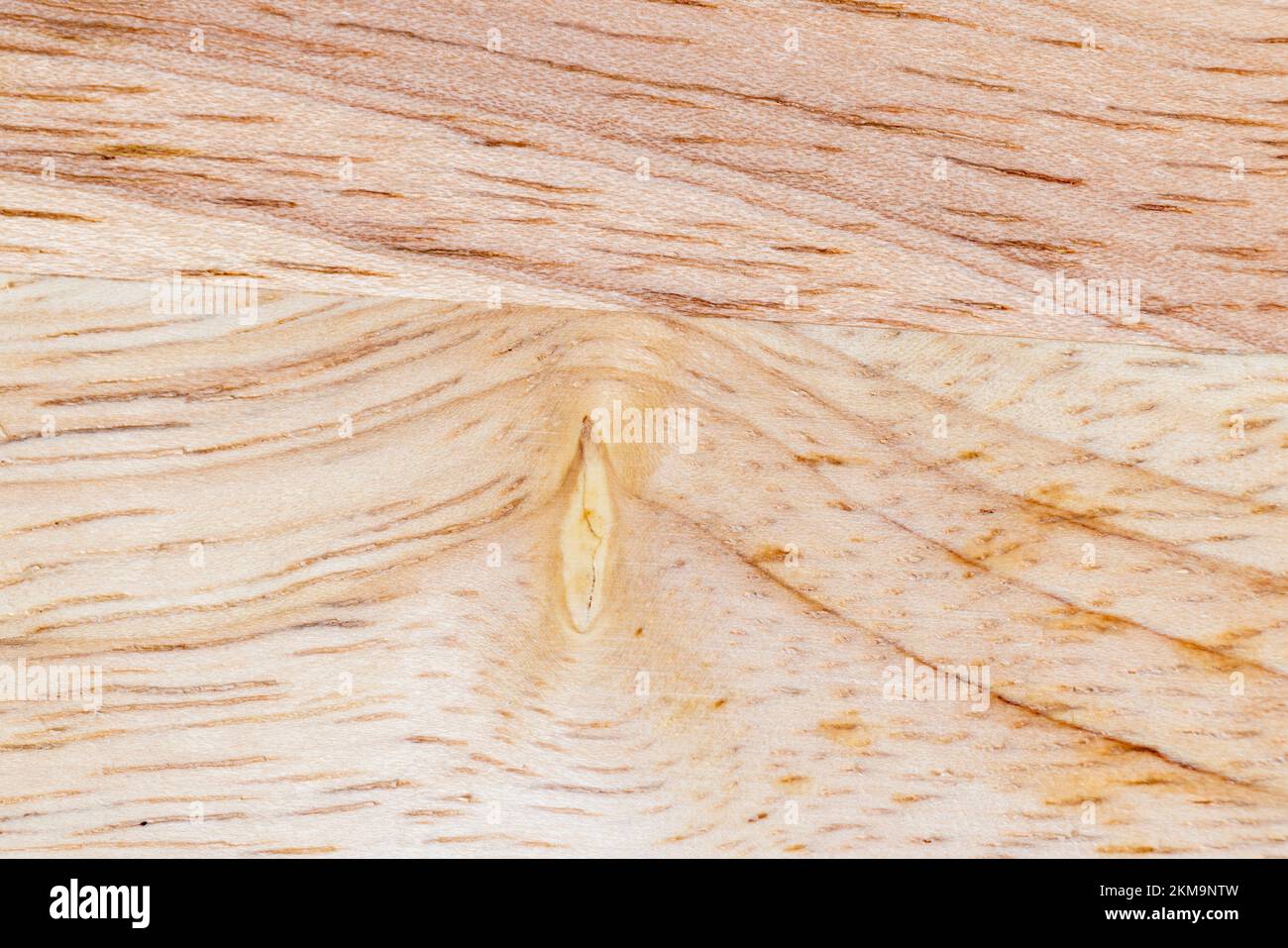 a board made of hevea wood, a light board with a hevea tree structure ...