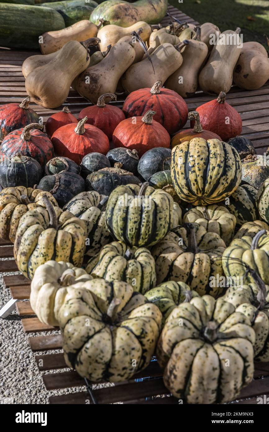 Marche de legumes hi-res stock photography and images - Alamy