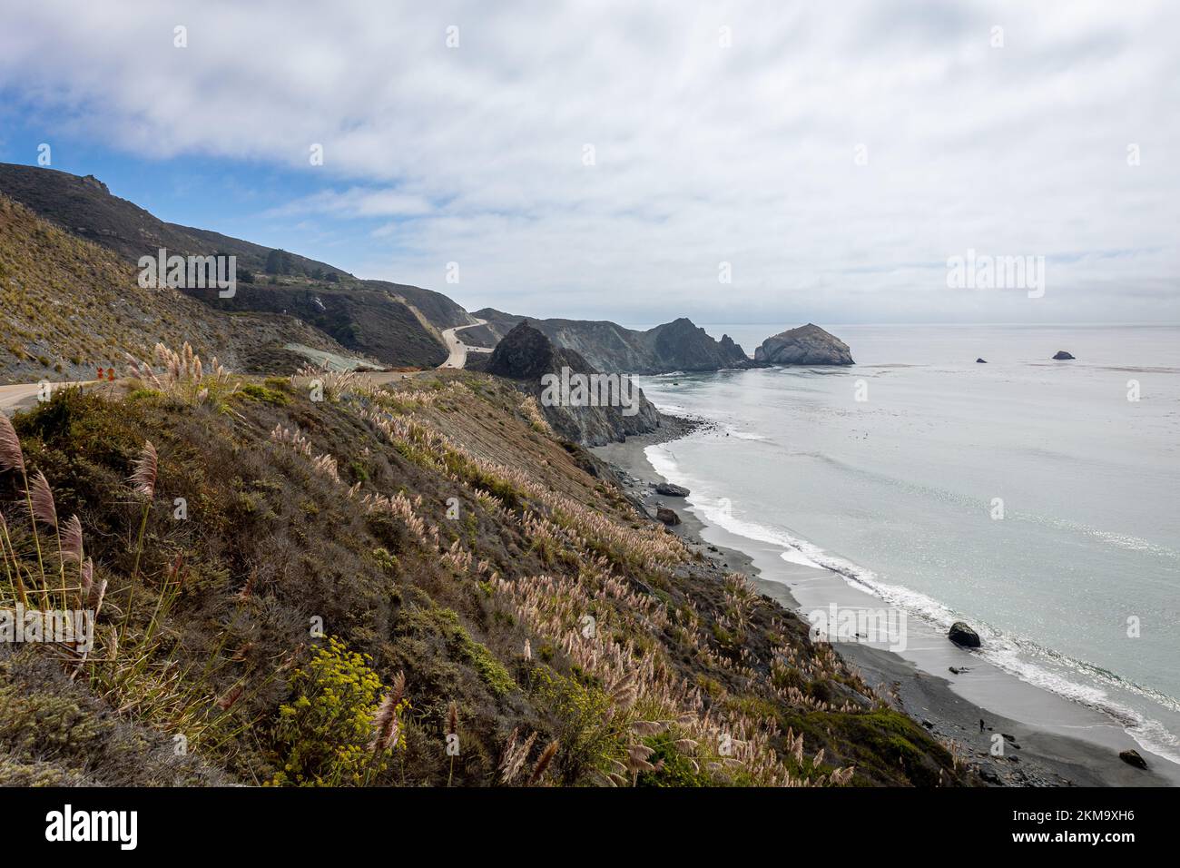 The beautiful west coast of California along Highway 1, with meadows ...