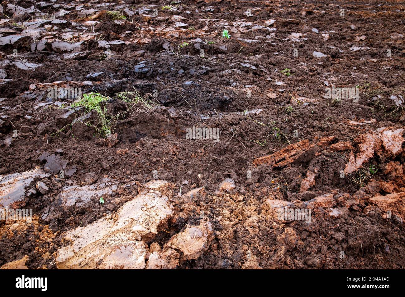 Mud ruts hi-res stock photography and images - Alamy