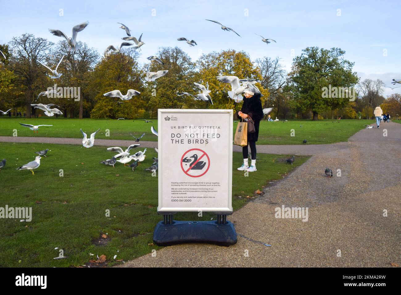 London, UK. 26th November 2022. A visitor feeds the birds next to a 'Do ...