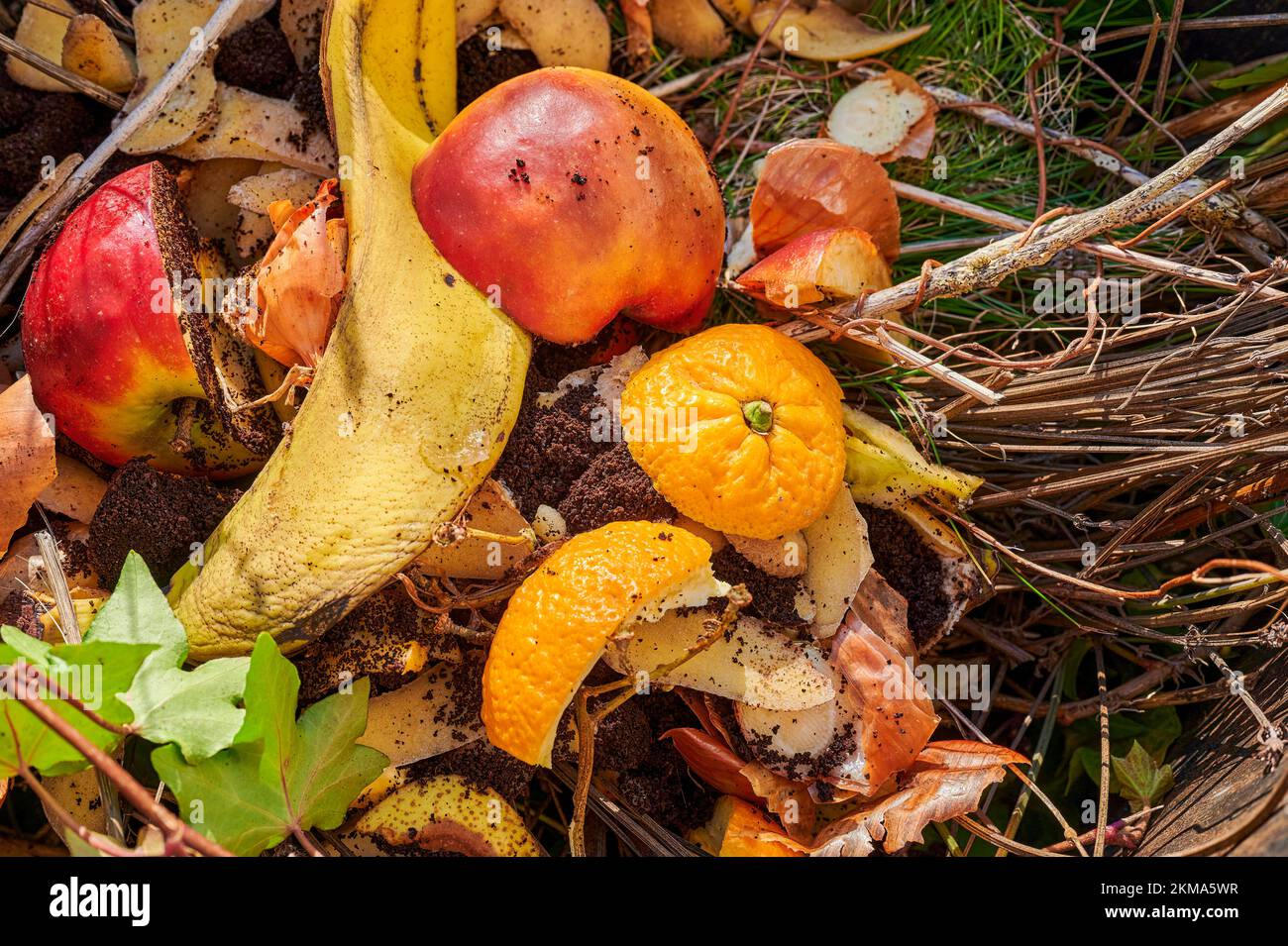 View into a bio container with various organic wastes for recycling ...