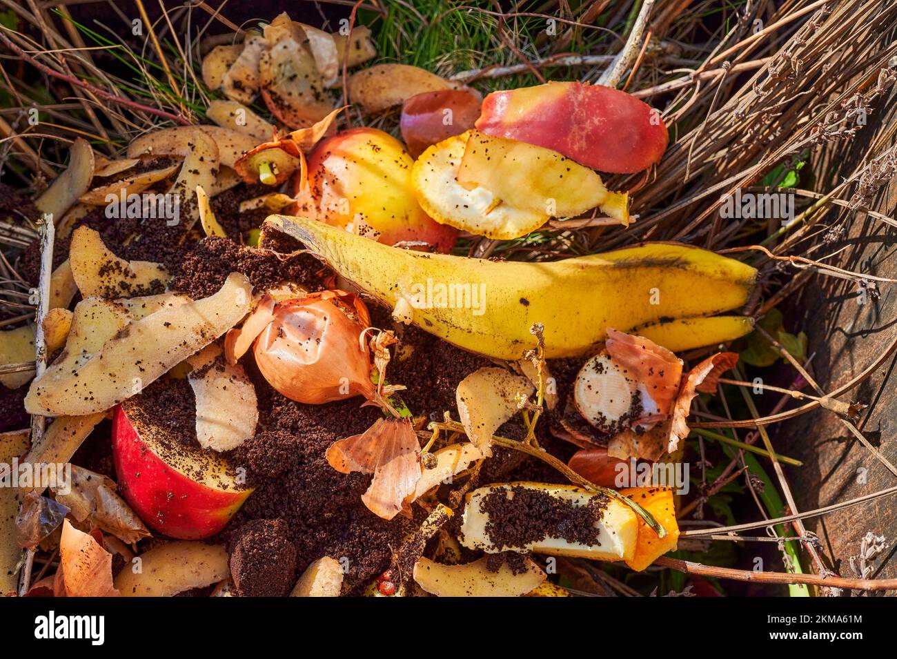 View into a bio container with various organic wastes for recycling ...
