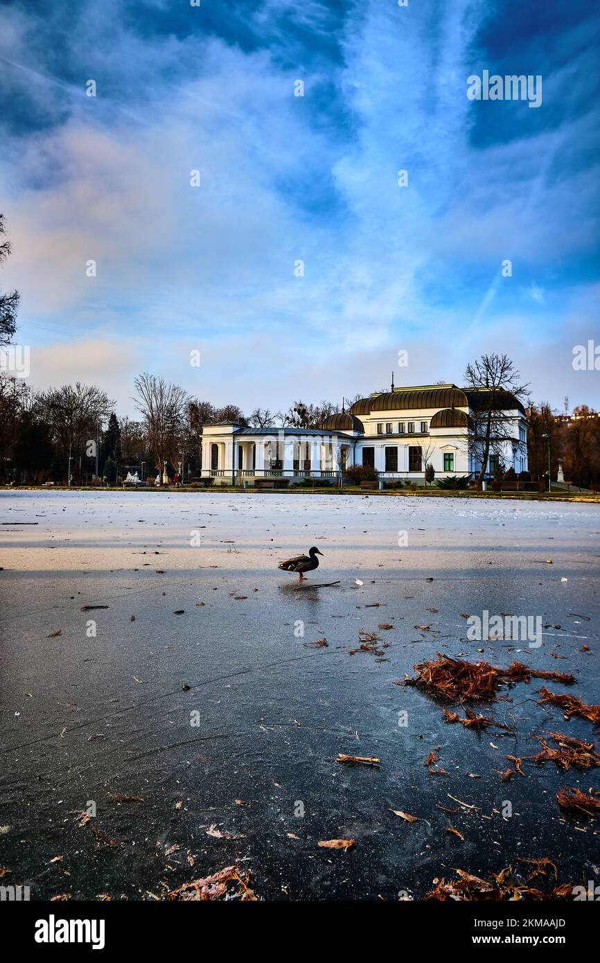 A Snow covered frozen lake in Cluj-Napoca, Romania Stock Photo - Alamy
