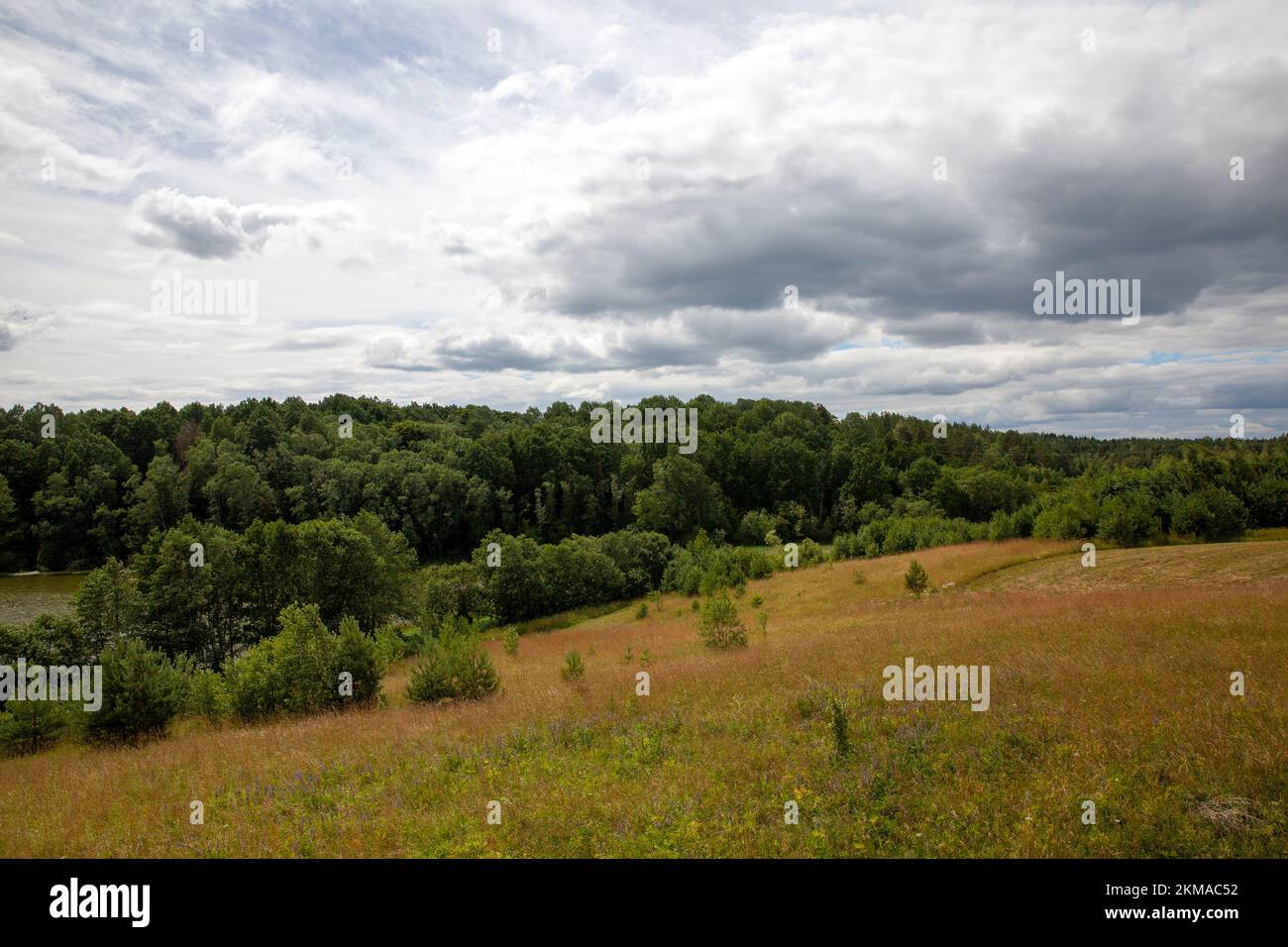 summer landscape in cloudy rainy weather, landscape with grass and ...